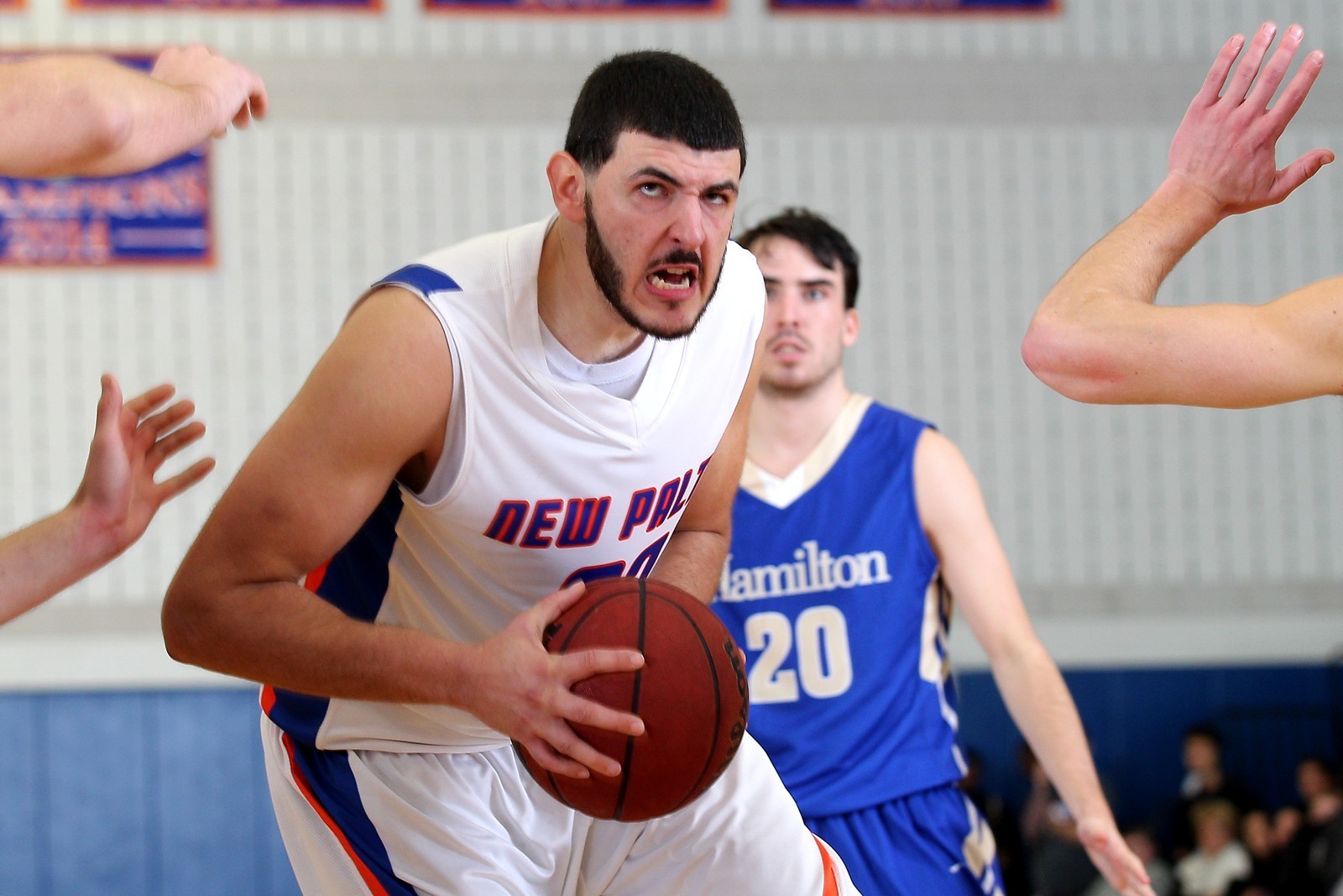 Alex Perlman - Men's Basketball - SUNY New Paltz Athletics