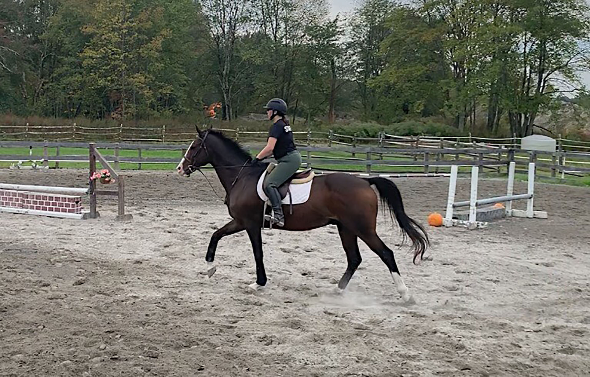 Sara Marriott - Equestrian - SUNY New Paltz Athletics