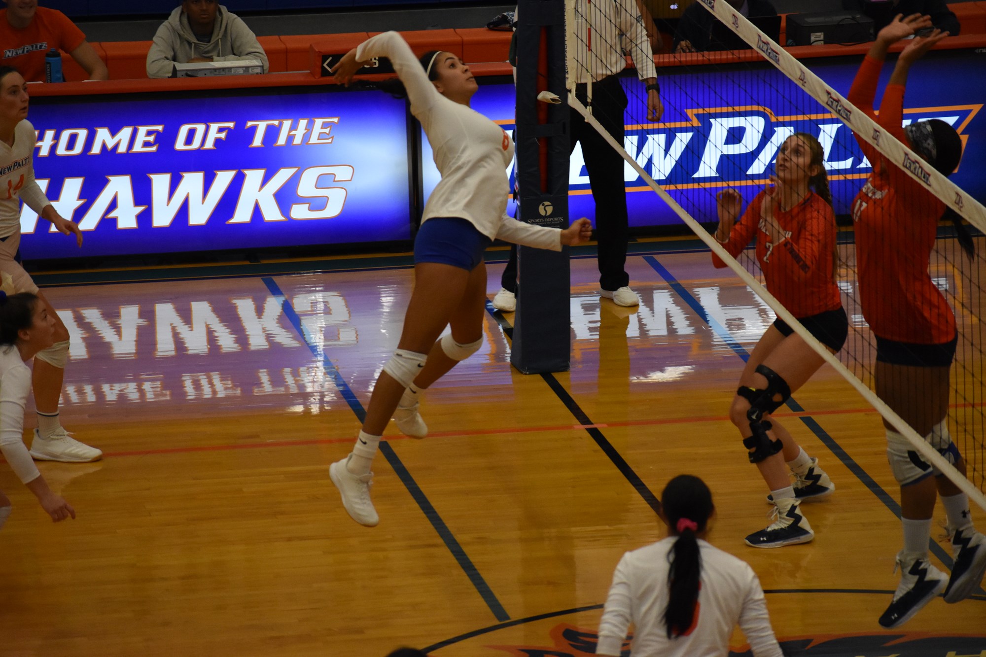 Demi Herasme - Women's Volleyball - SUNY New Paltz Athletics