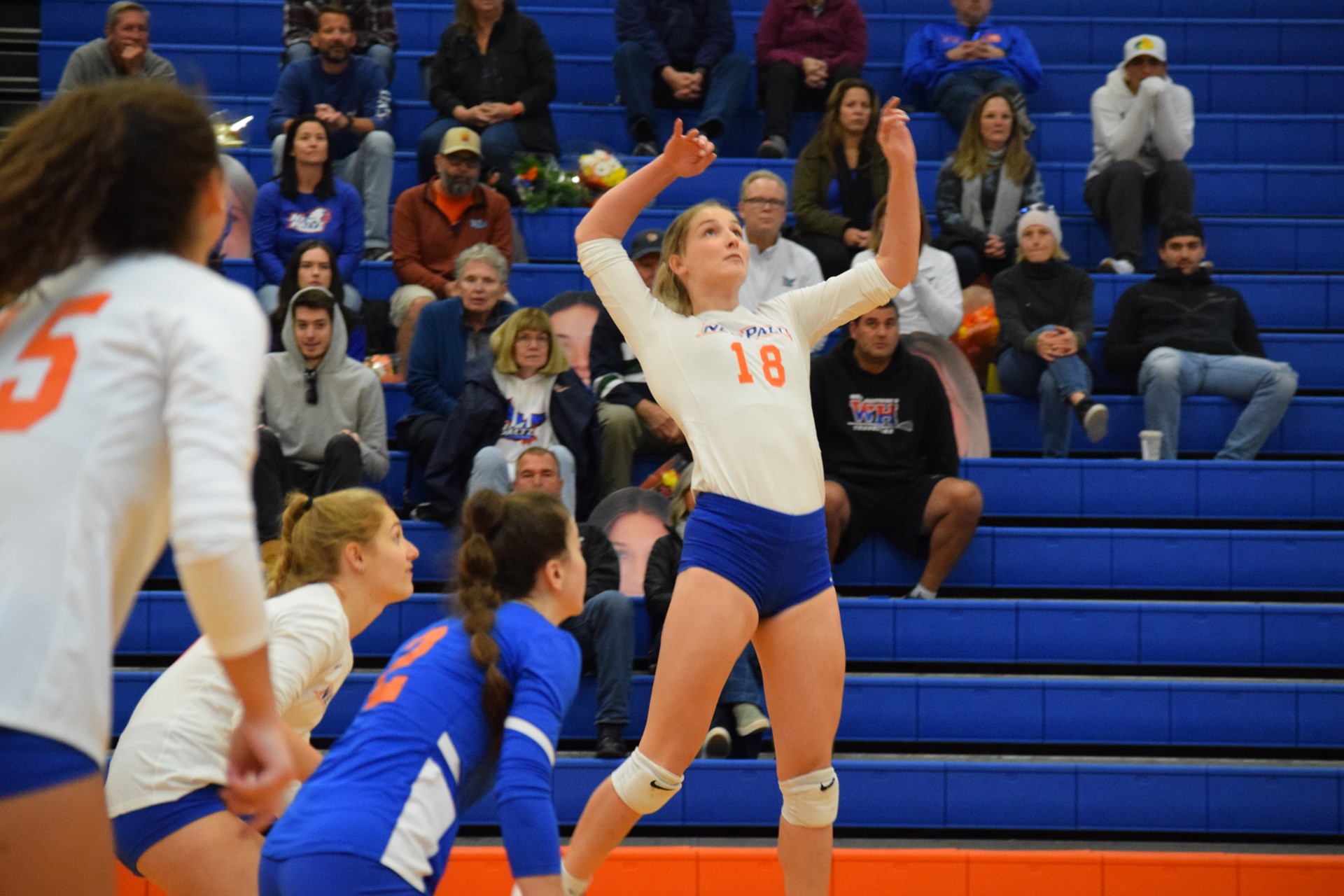 Mackenzie Williams - Women's Volleyball - SUNY New Paltz Athletics