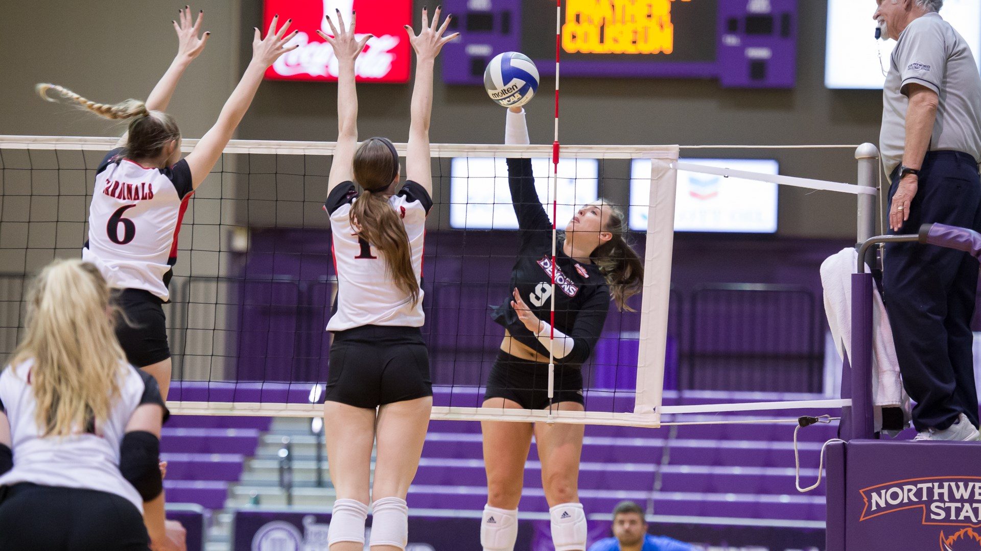 Alexis Warren - Lady Demon Volleyball - Northwestern State University ...