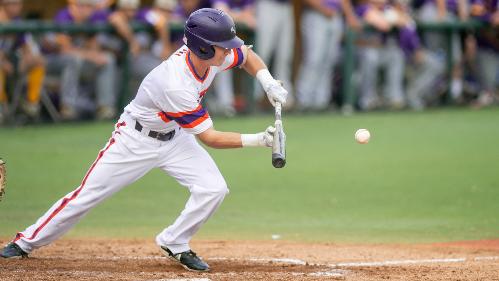 Sam Taylor - Demon Baseball - Northwestern State University Athletics