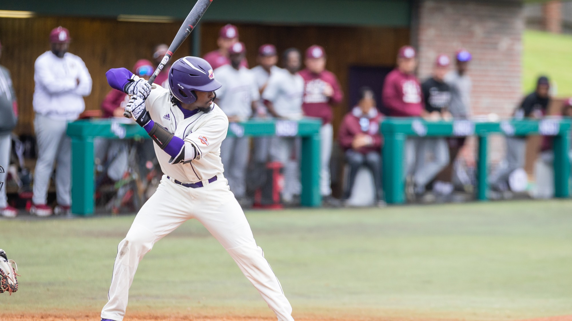 Daunte Stuart - Demon Baseball - Northwestern State University Athletics