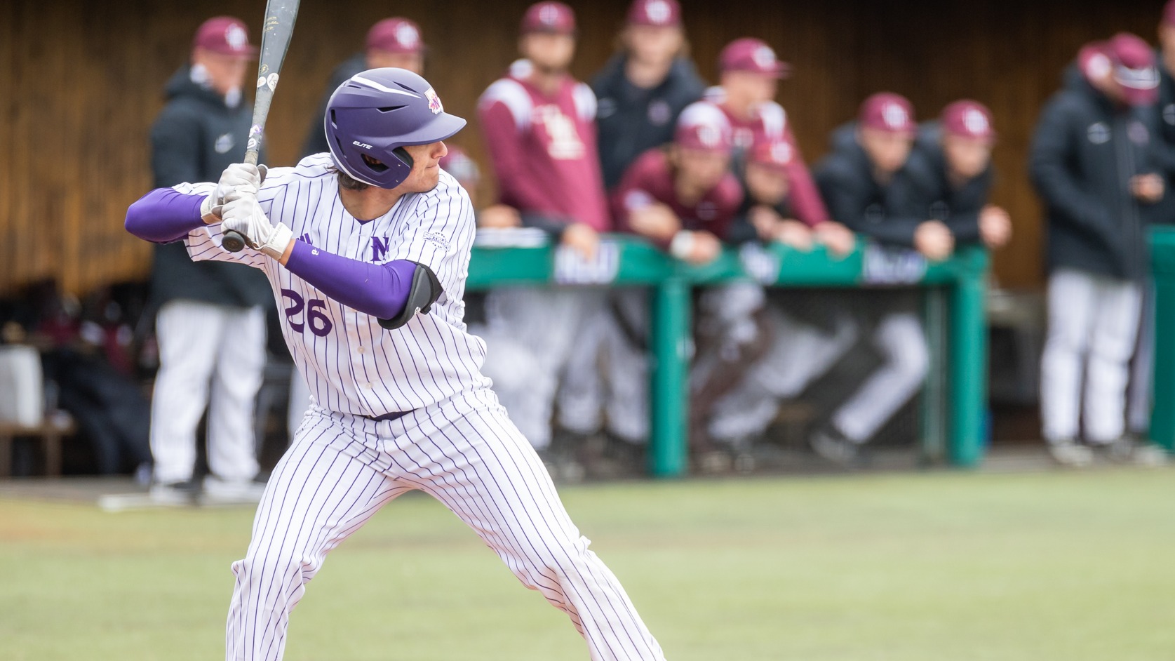 Michael Dattalo - Demon Baseball - Northwestern State University Athletics