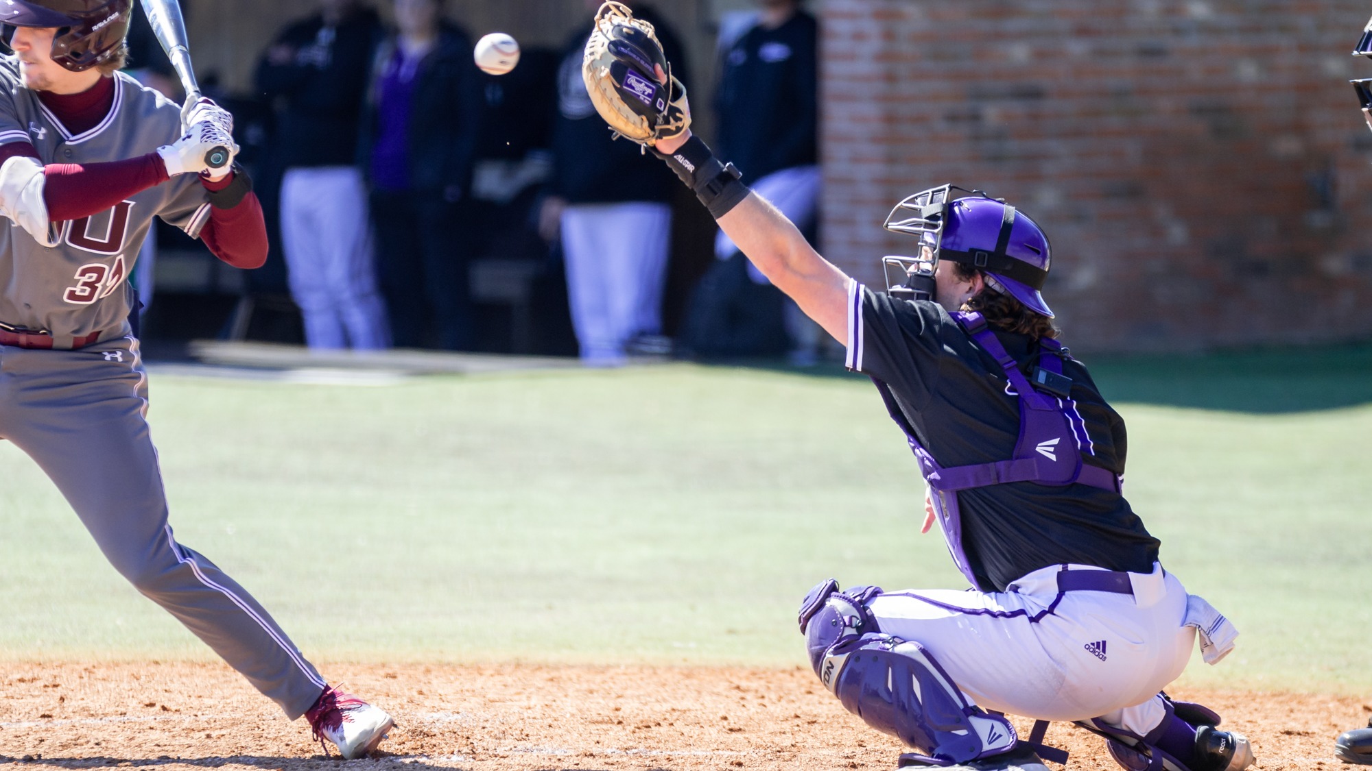 James Starnes - Demon Baseball - Northwestern State University Athletics
