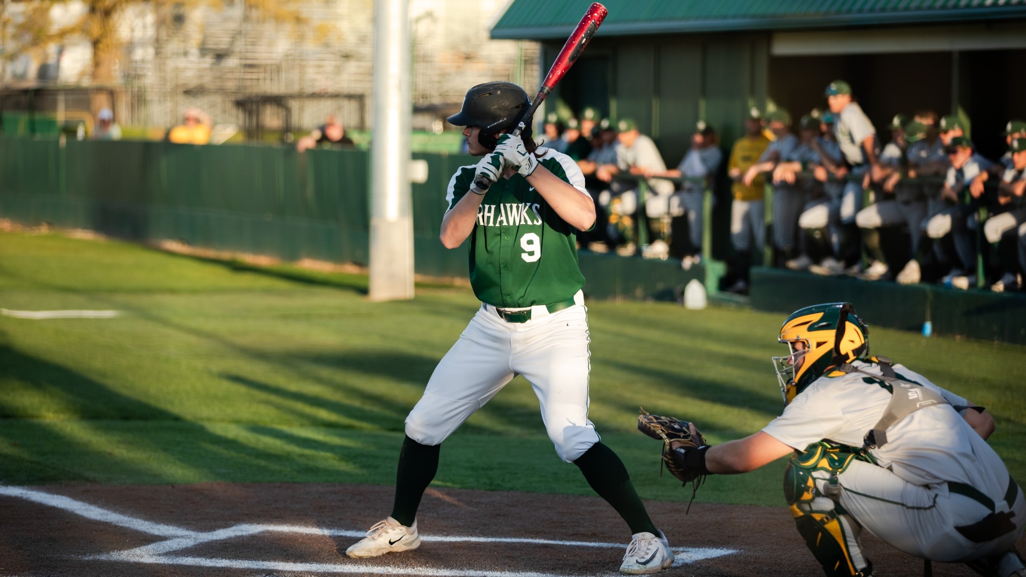 Lions gain Friday night win over RiverHawks - Northeastern State ...