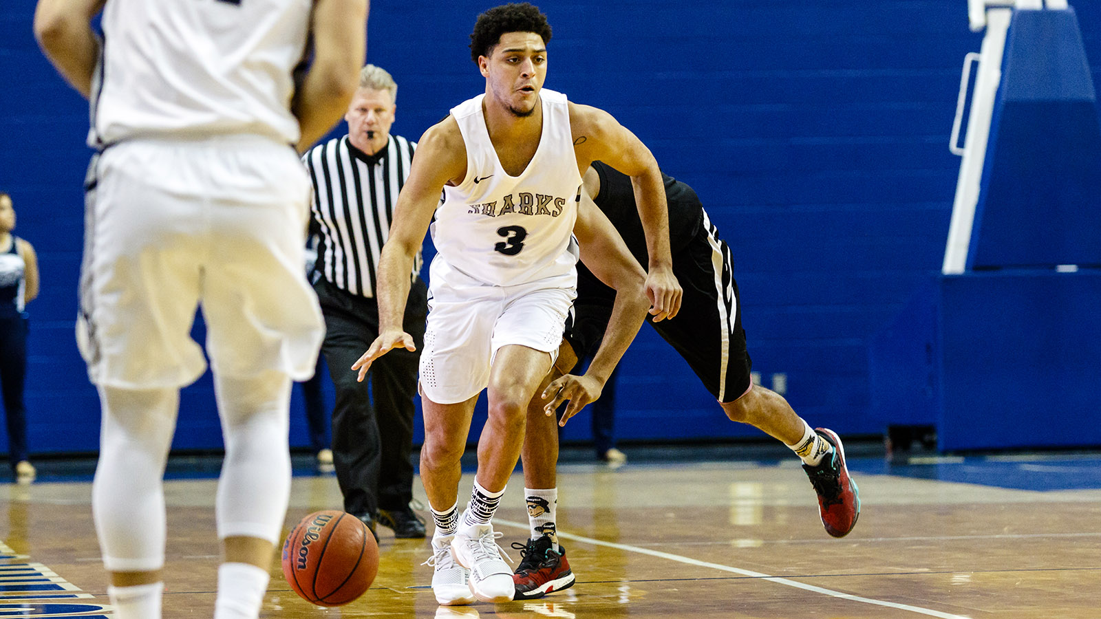 Sharks Set Program Record for Points in 122-107 Win - Nova Southeastern ...