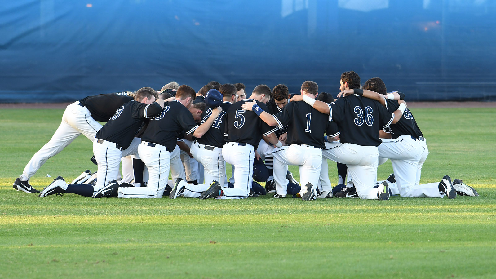 Baseball at Its Best: NSU Meets Tampa in Battle of Past Two National ...