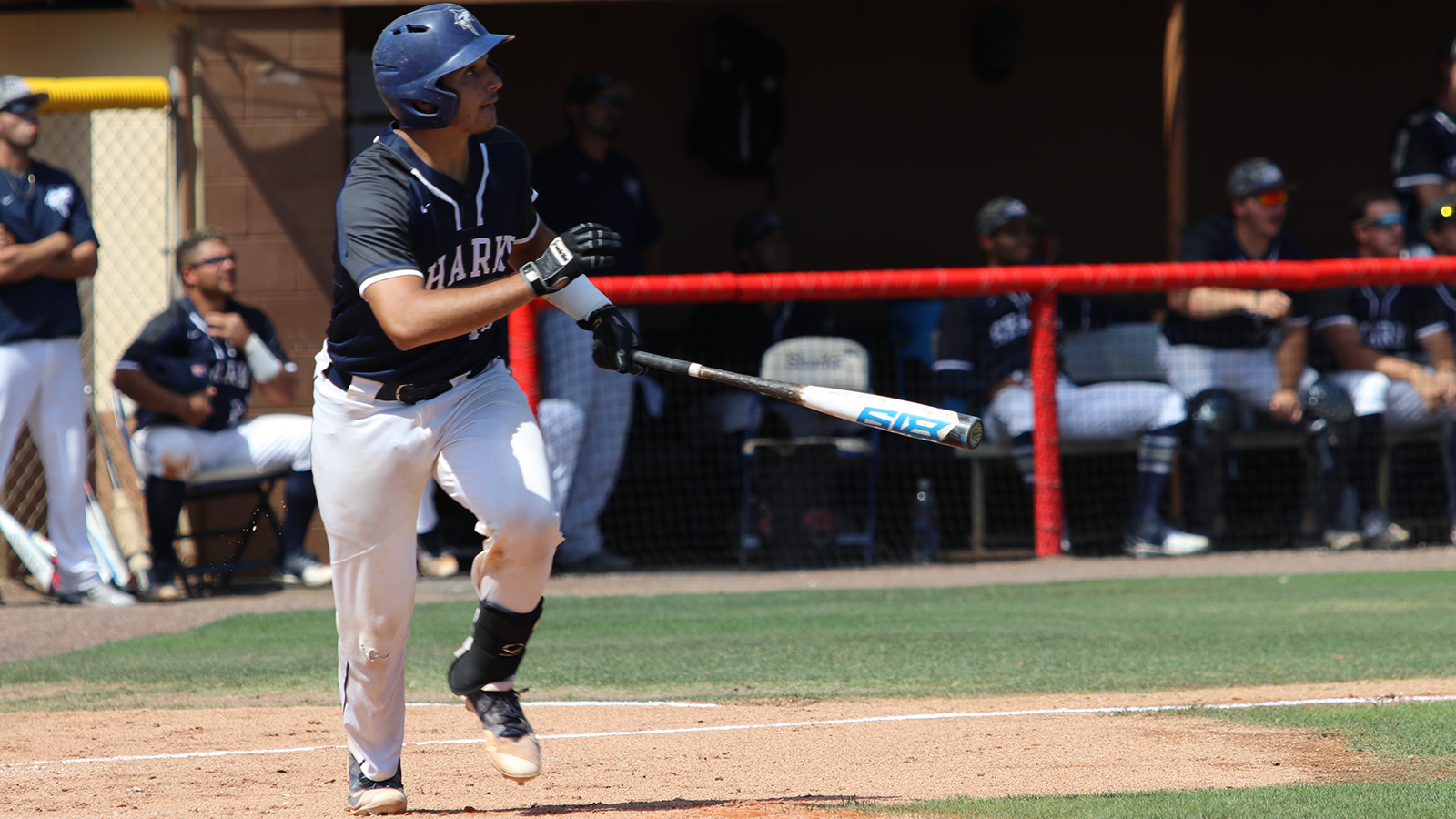 Jake Anchia - Baseball - Nova Southeastern University Athletics