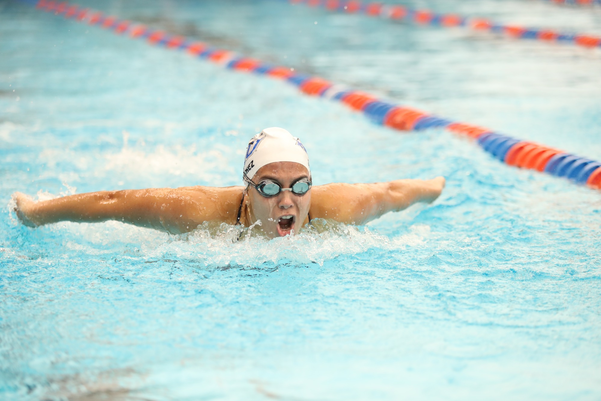 Sharks Dive in with Gators and Razorbacks to Open Season - Nova ...