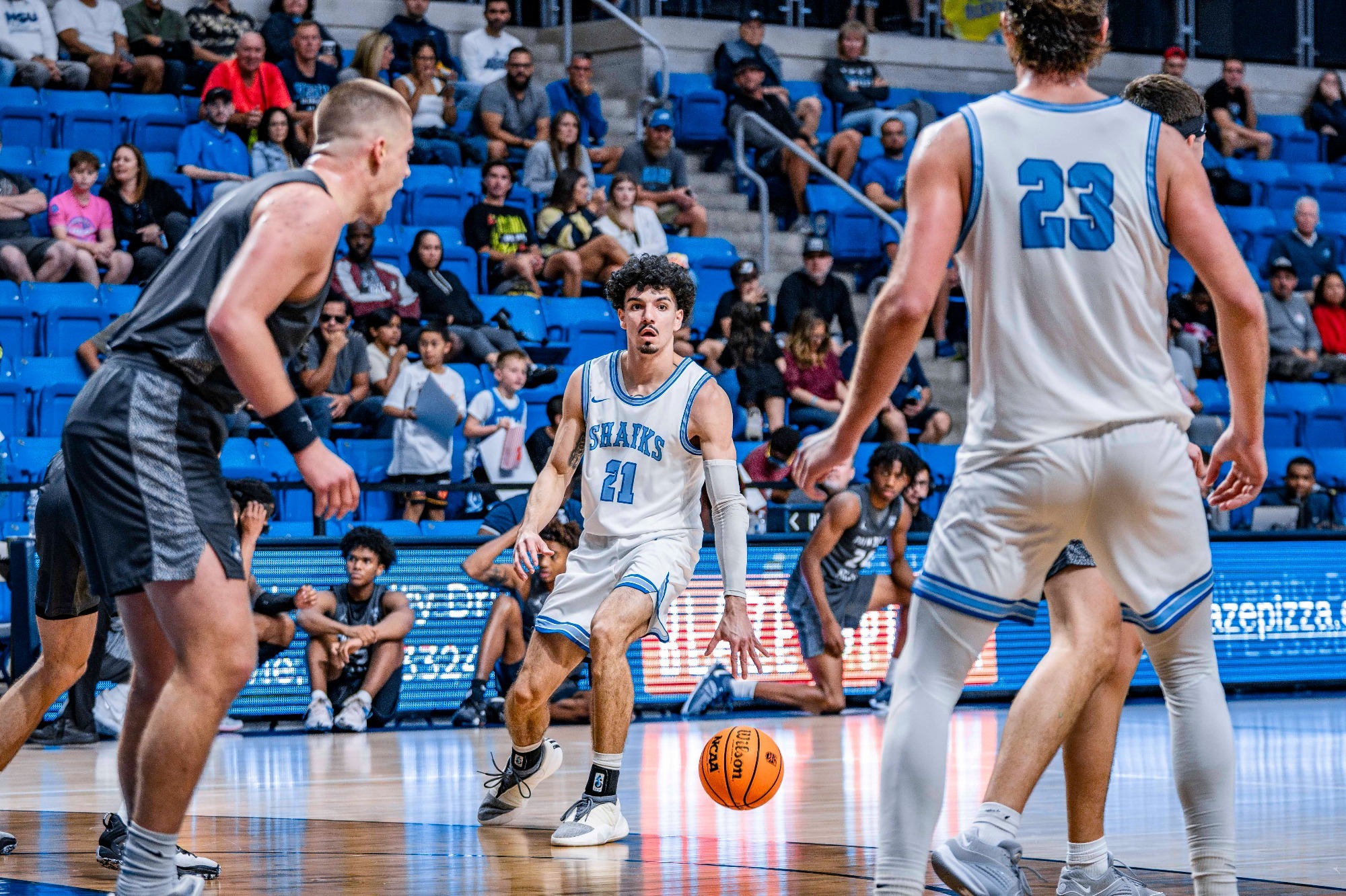 #1 Sharks Defeat PBA in SSC Action - Nova Southeastern University Athletics