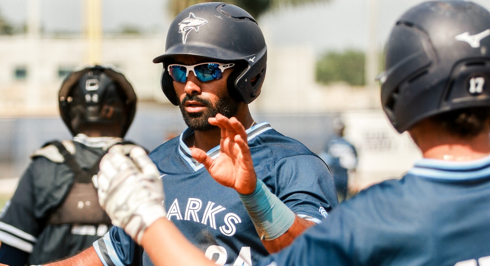 Sharks Baseball Ready to take on Florida Southern - Nova Southeastern ...
