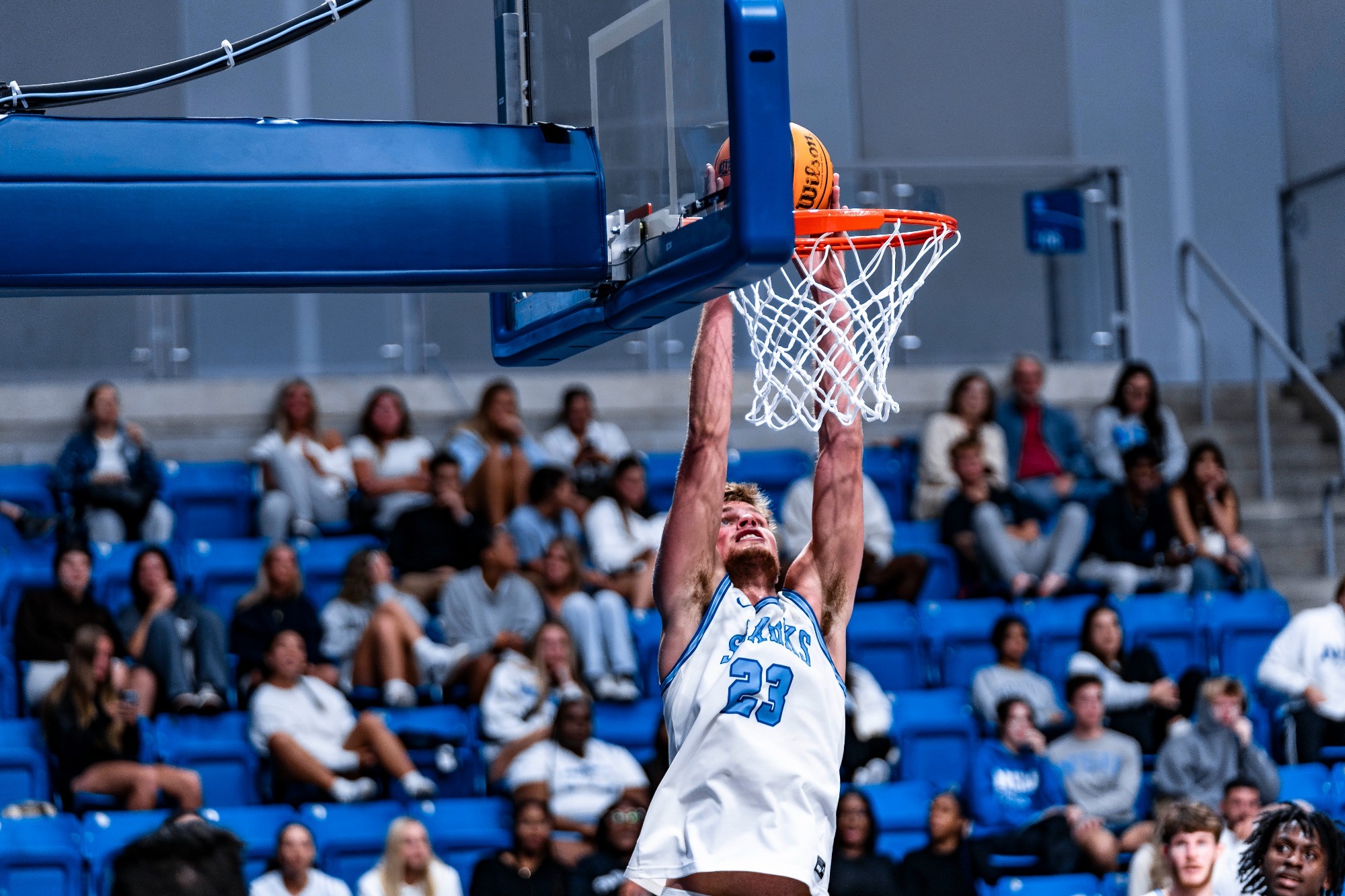 Shane Hunter - #1 Men's Basketball - Nova Southeastern University Athletics