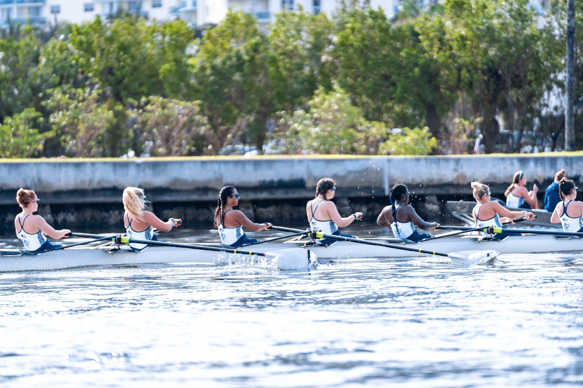 Sharks Rowing Completes Action at The Miami International Regatta ...