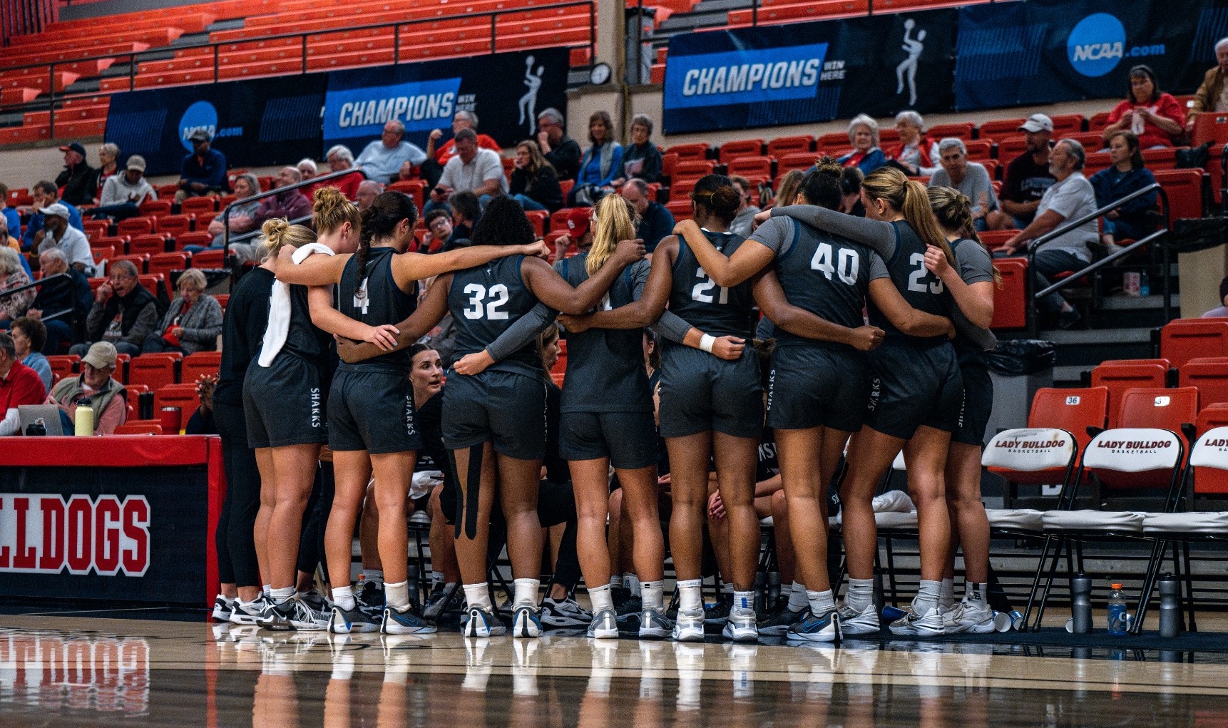 NSU names Heather Macy as Women's Basketball Head Coach - Nova ...