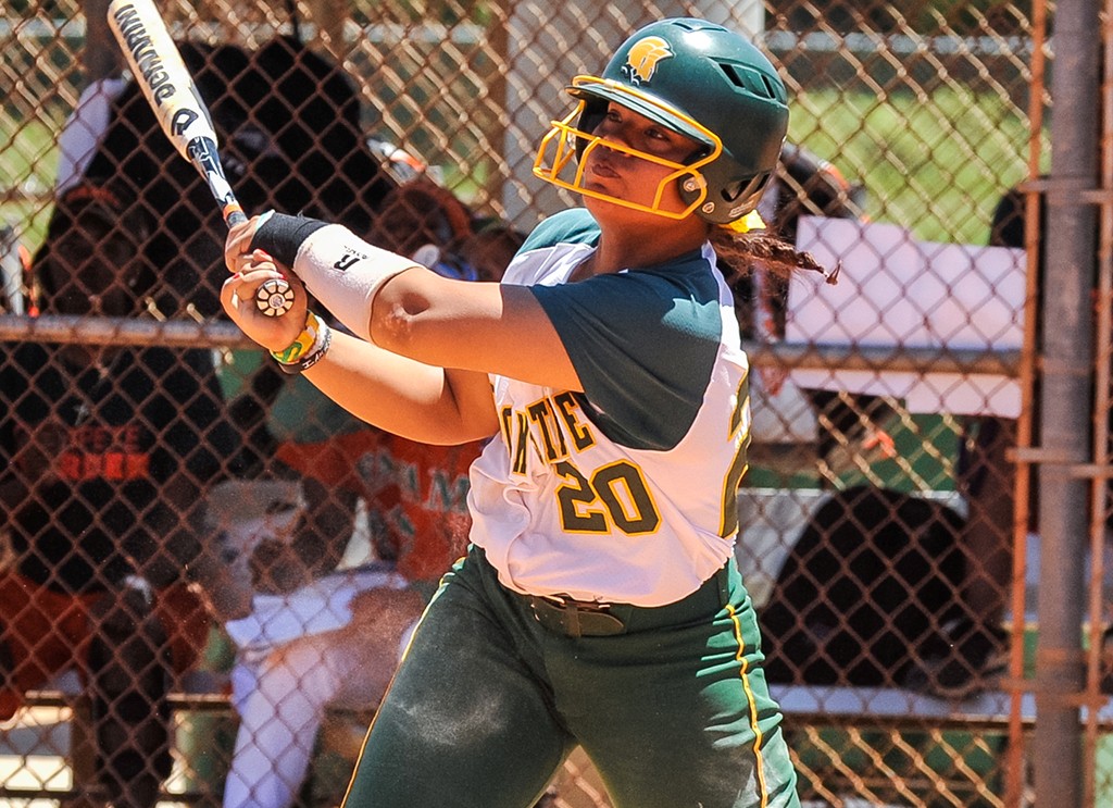 Robyn Mitchell - Softball - Norfolk State University Athletics