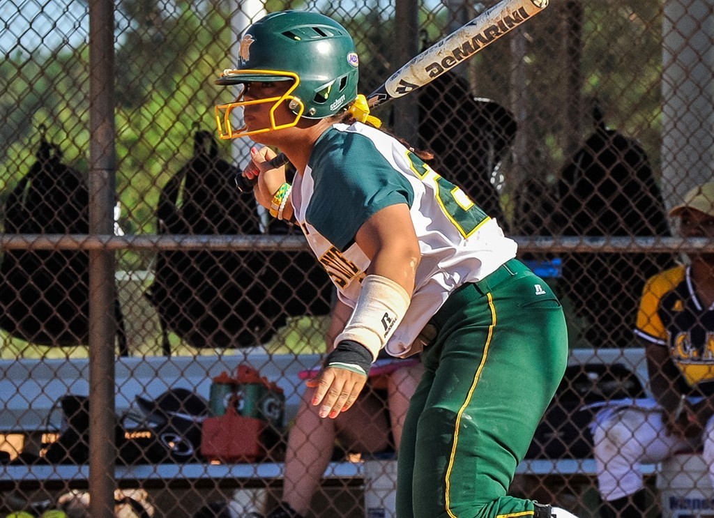 Robyn Mitchell - Softball - Norfolk State University Athletics