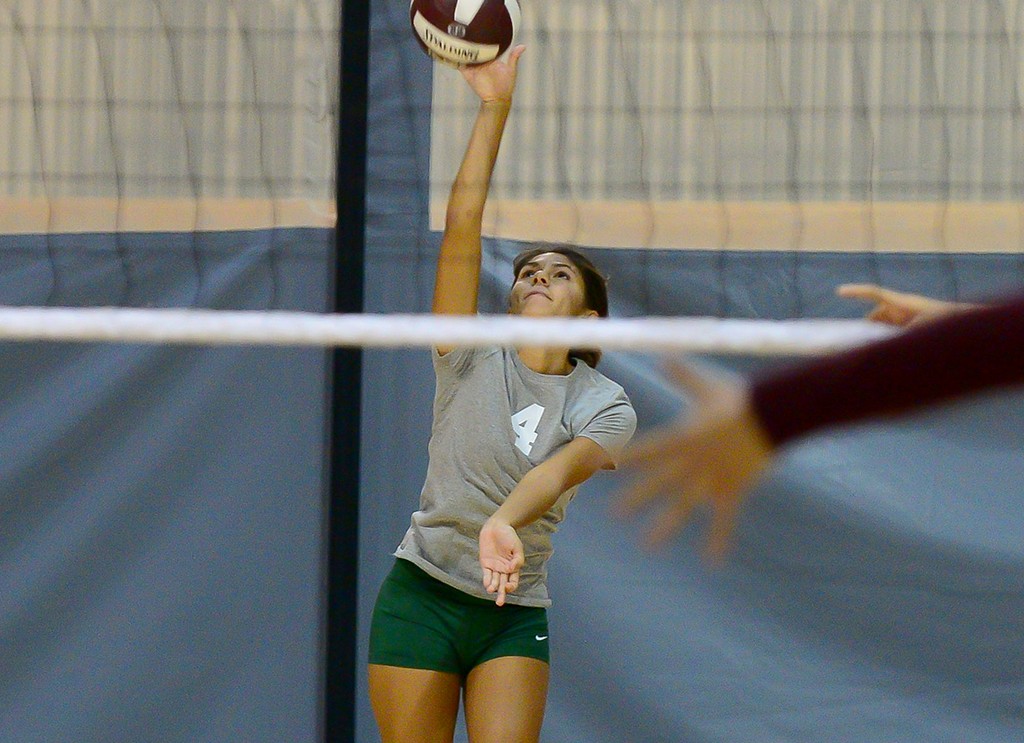 Alex Irizarry - Women's Volleyball - Norfolk State University Athletics