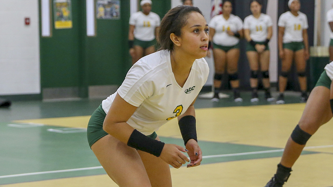 Halley McKnight - Women's Volleyball - Norfolk State University Athletics