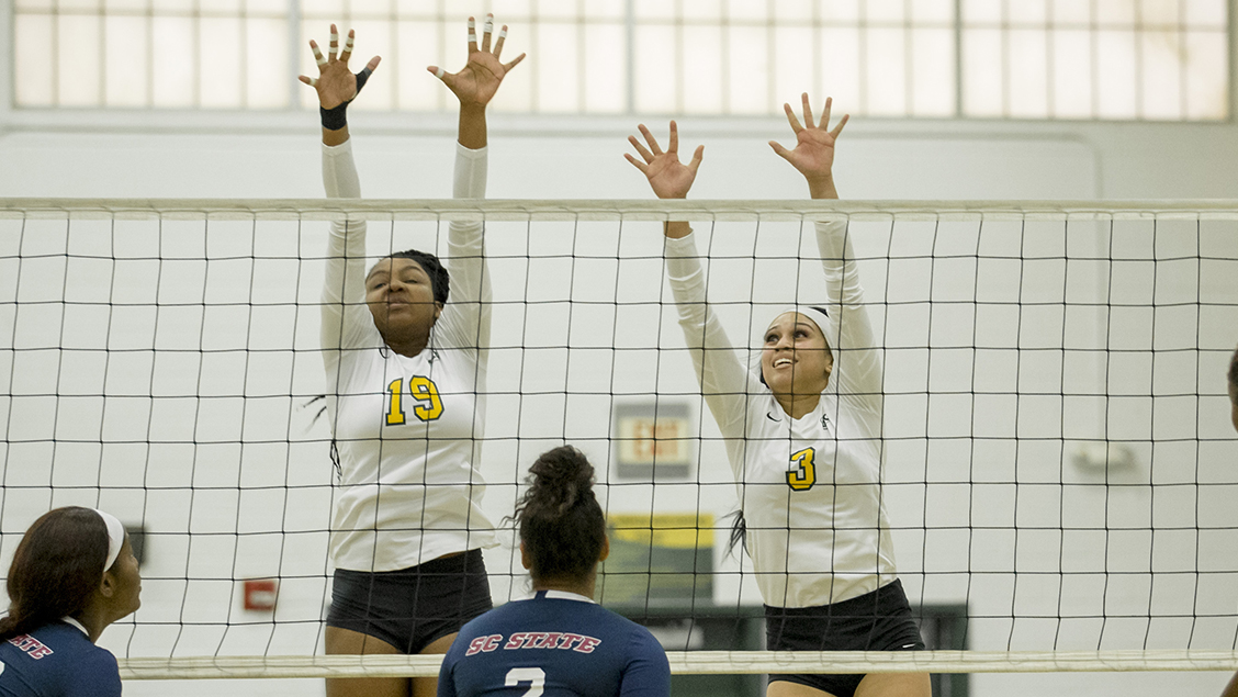 Breona Young - Women's Volleyball - Norfolk State University Athletics