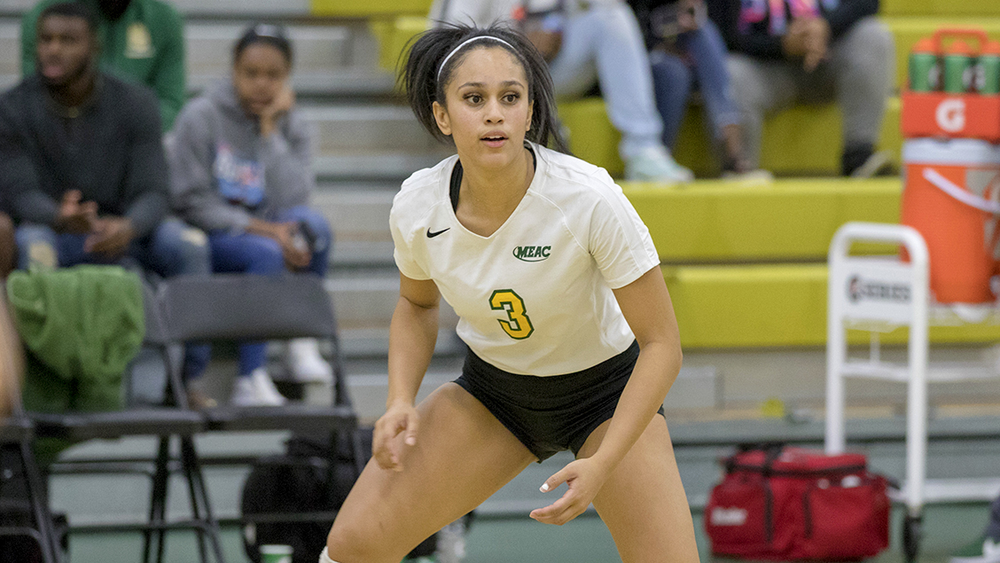 Halley McKnight - Women's Volleyball - Norfolk State University Athletics