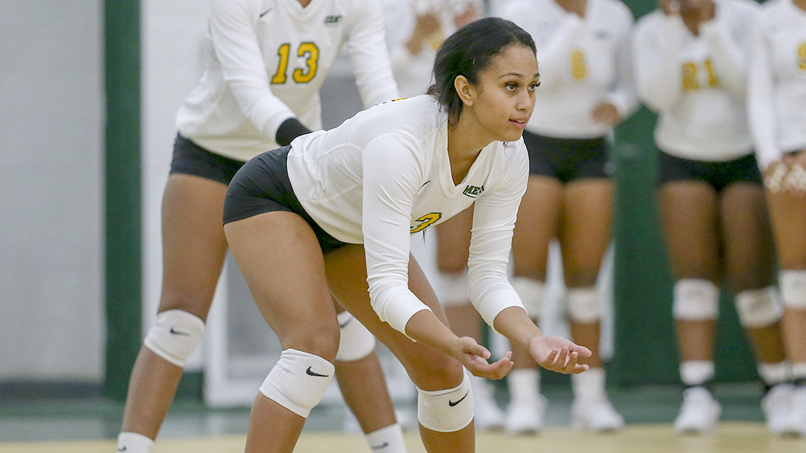 Halley McKnight - Women's Volleyball - Norfolk State University Athletics