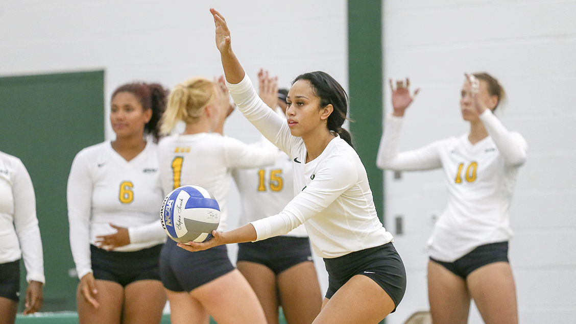 Halley McKnight - Women's Volleyball - Norfolk State University Athletics
