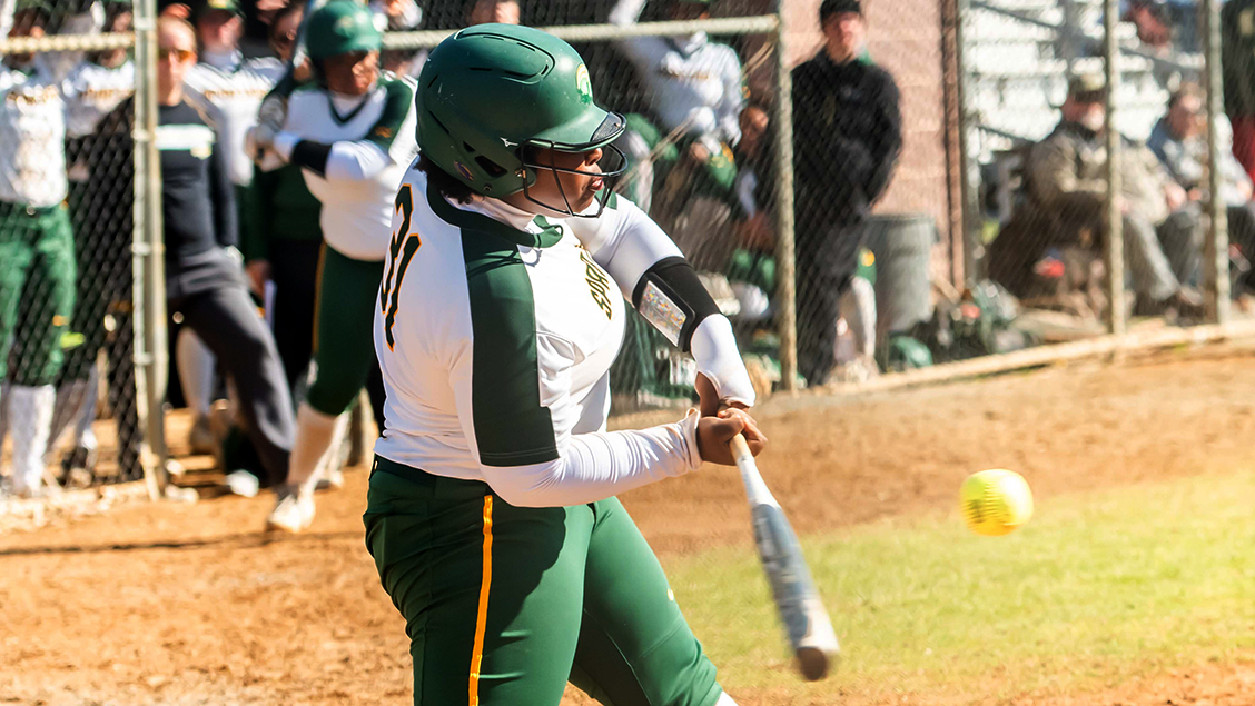 Loren Hudson - Softball - Norfolk State University Athletics