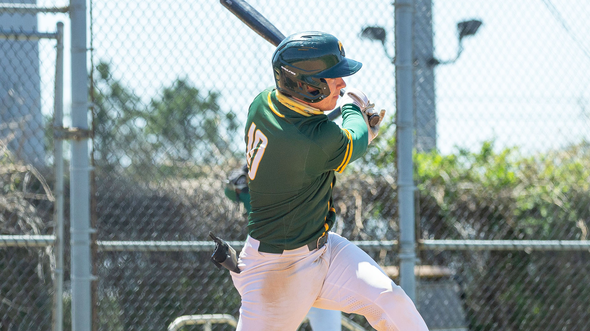 Adam Collins - Baseball - Norfolk State University Athletics