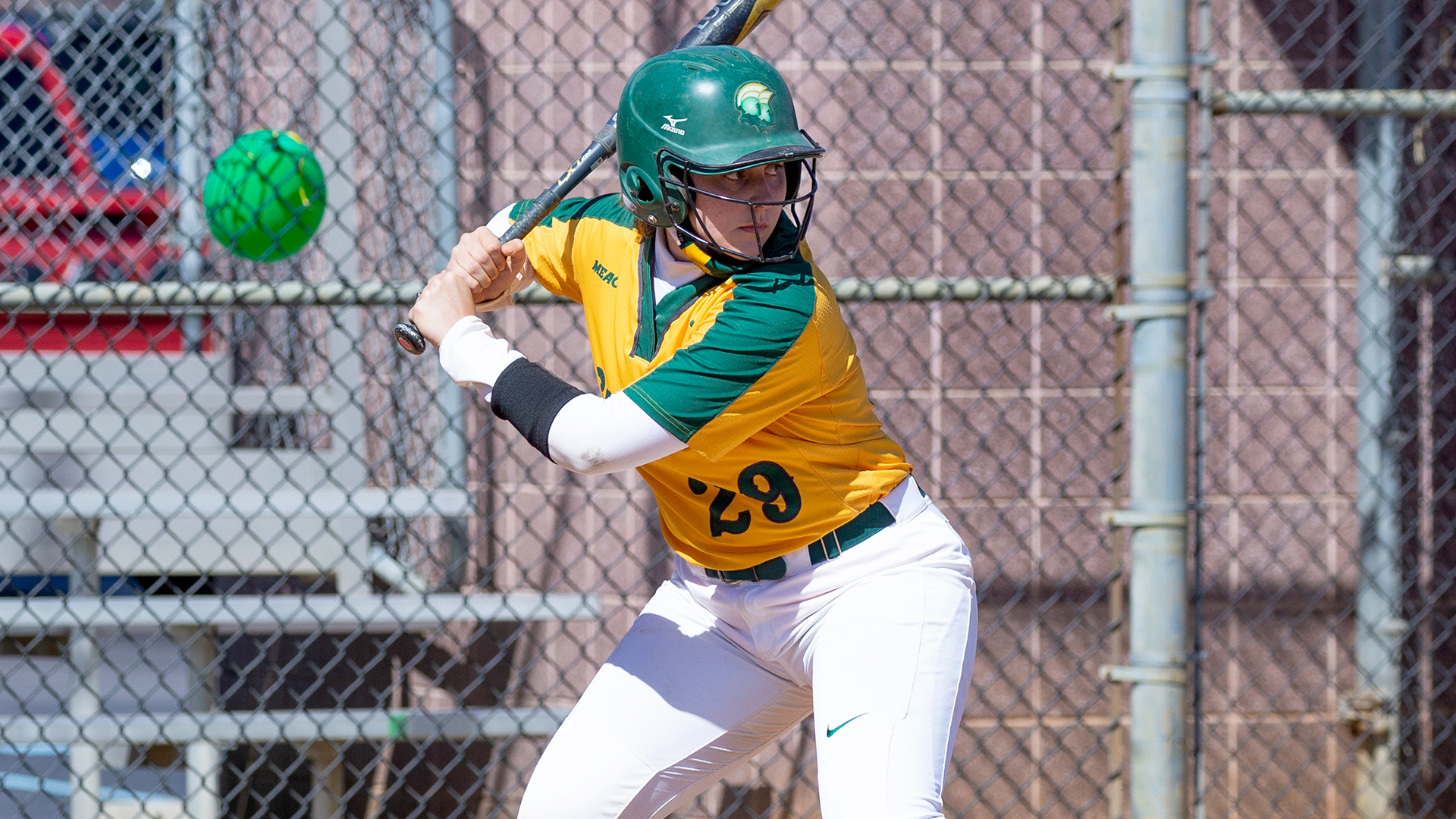 Elizabeth Ritchie - Softball - Norfolk State University Athletics