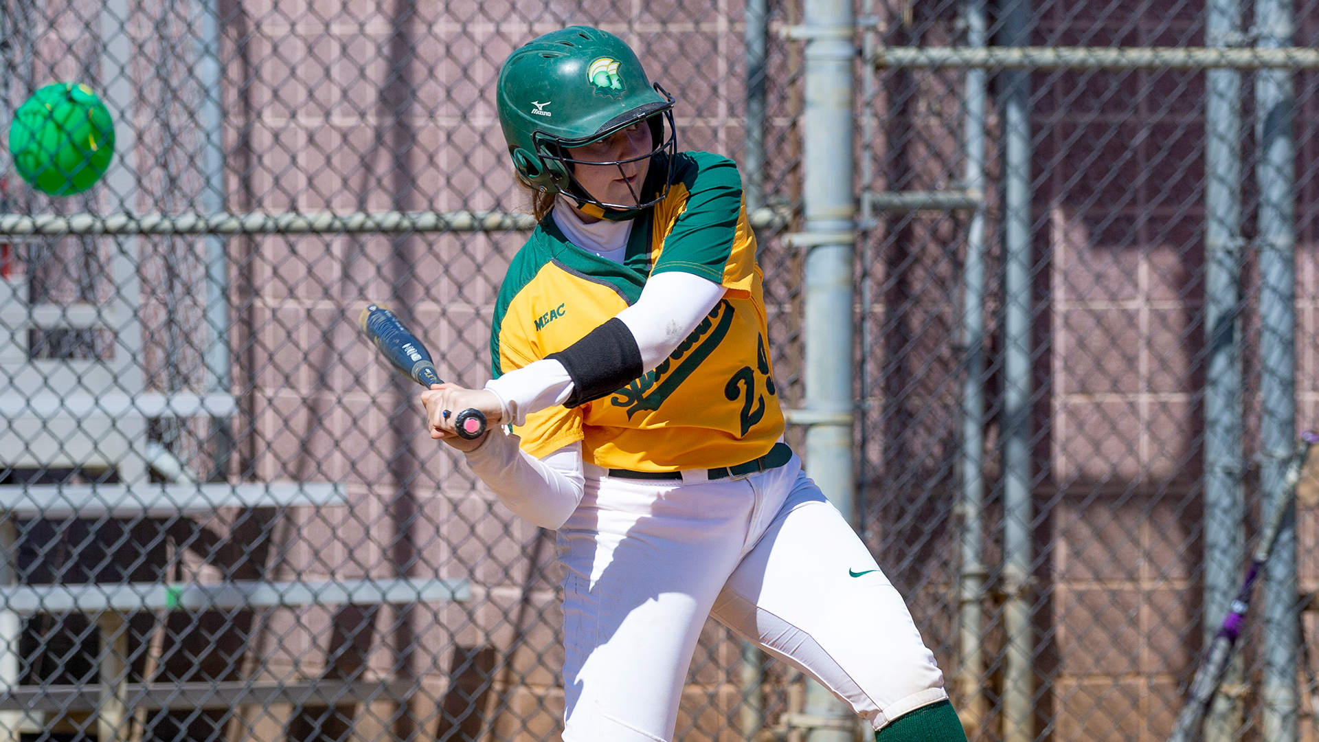 Elizabeth Ritchie - Softball - Norfolk State University Athletics