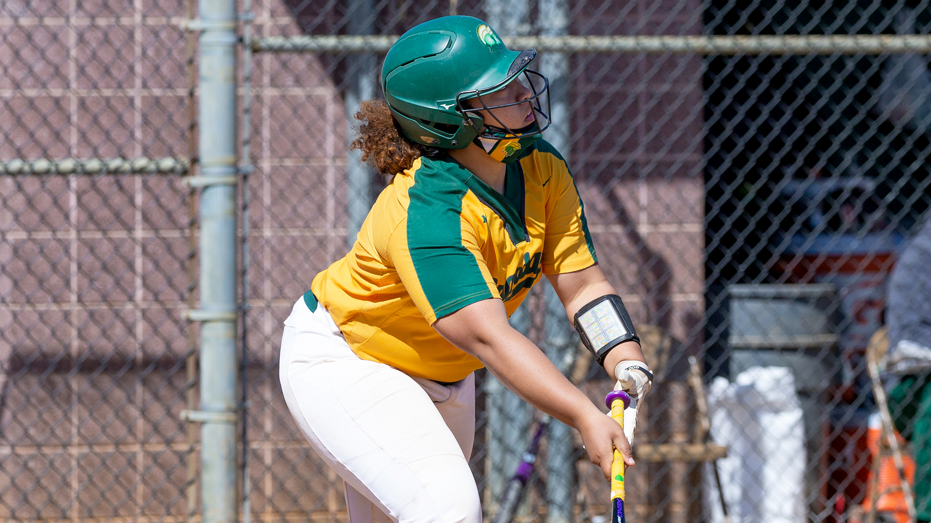 Tuli Iosefa - Softball - Norfolk State University Athletics