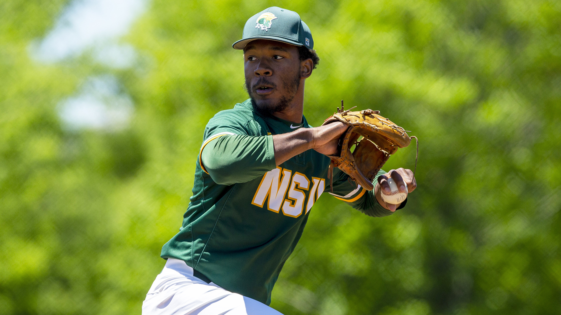 Danny Hosley - Baseball - Norfolk State University Athletics