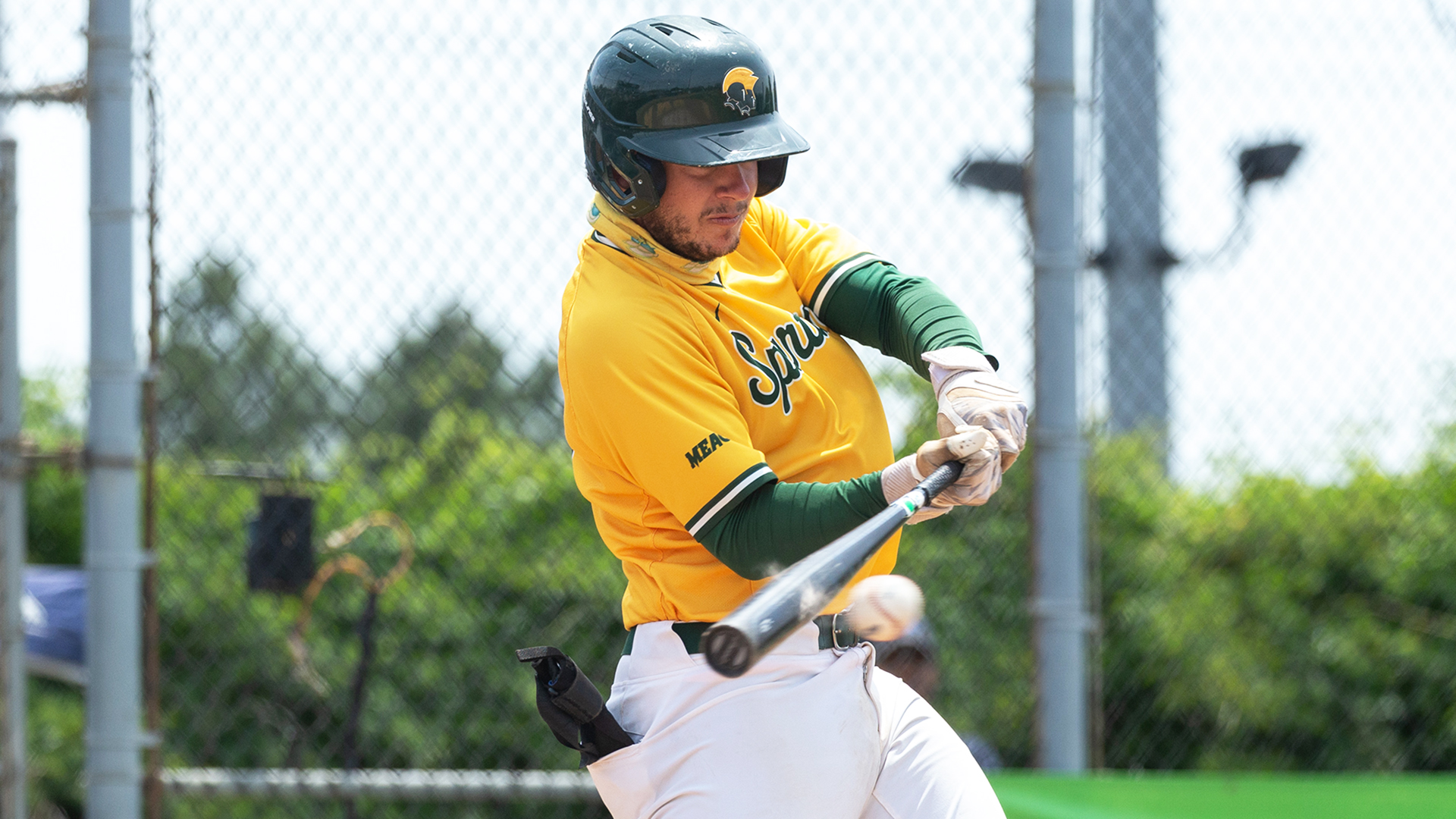 Adam Collins - Baseball - Norfolk State University Athletics