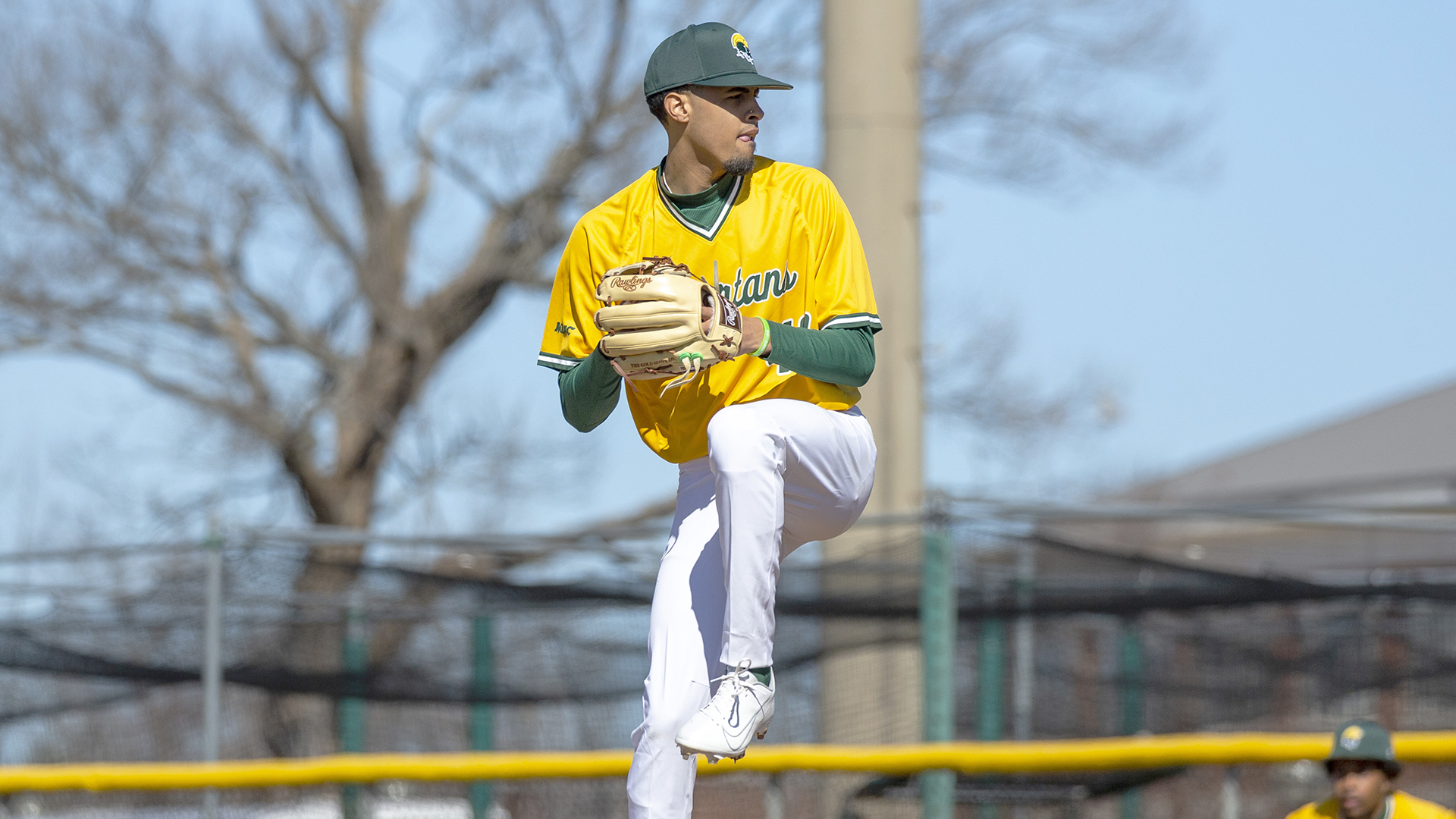 Matt Stanley - Baseball - Norfolk State University Athletics