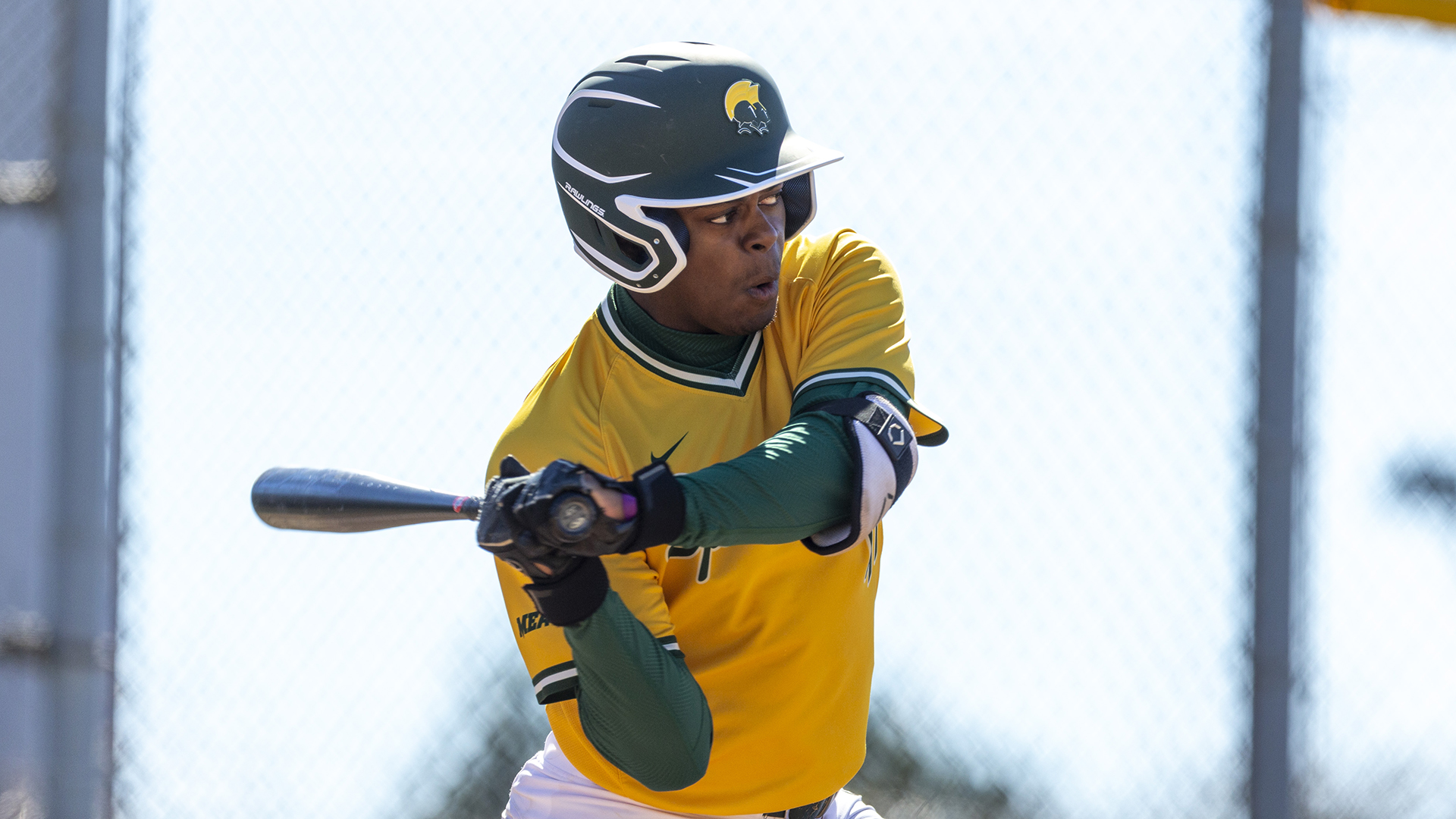 Steven Shaffer - Baseball - Norfolk State University Athletics