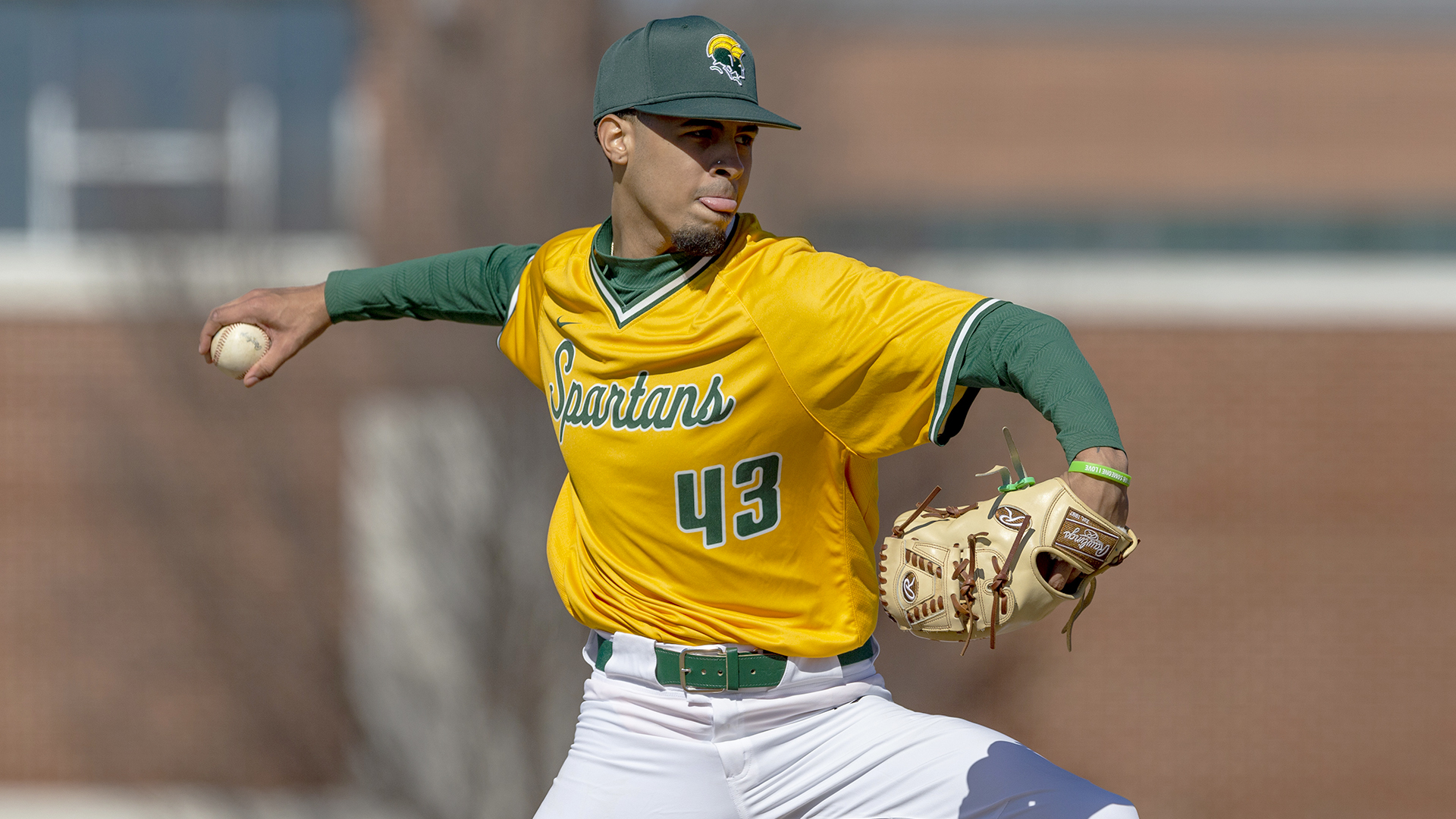 Matt Stanley - Baseball - Norfolk State University Athletics