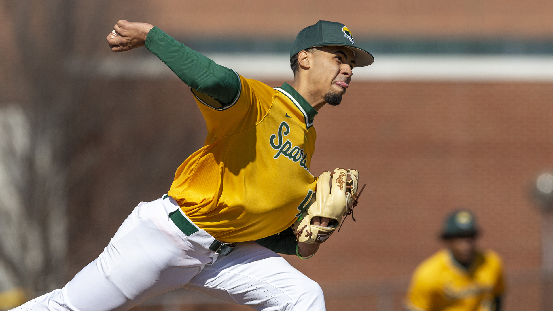 Matt Stanley - Baseball - Norfolk State University Athletics