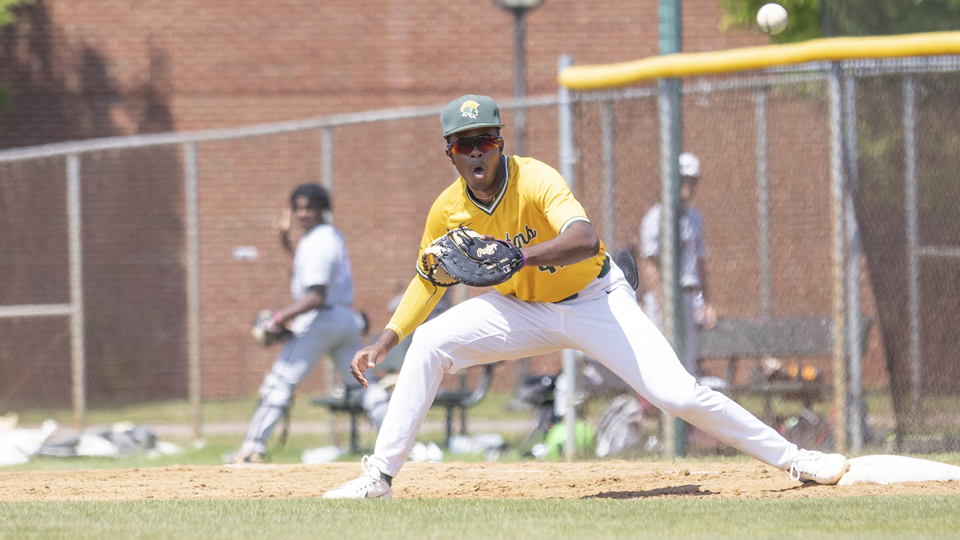 Steven Shaffer - Baseball - Norfolk State University Athletics