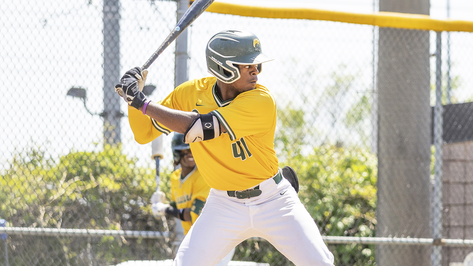 Steven Shaffer - Baseball - Norfolk State University Athletics