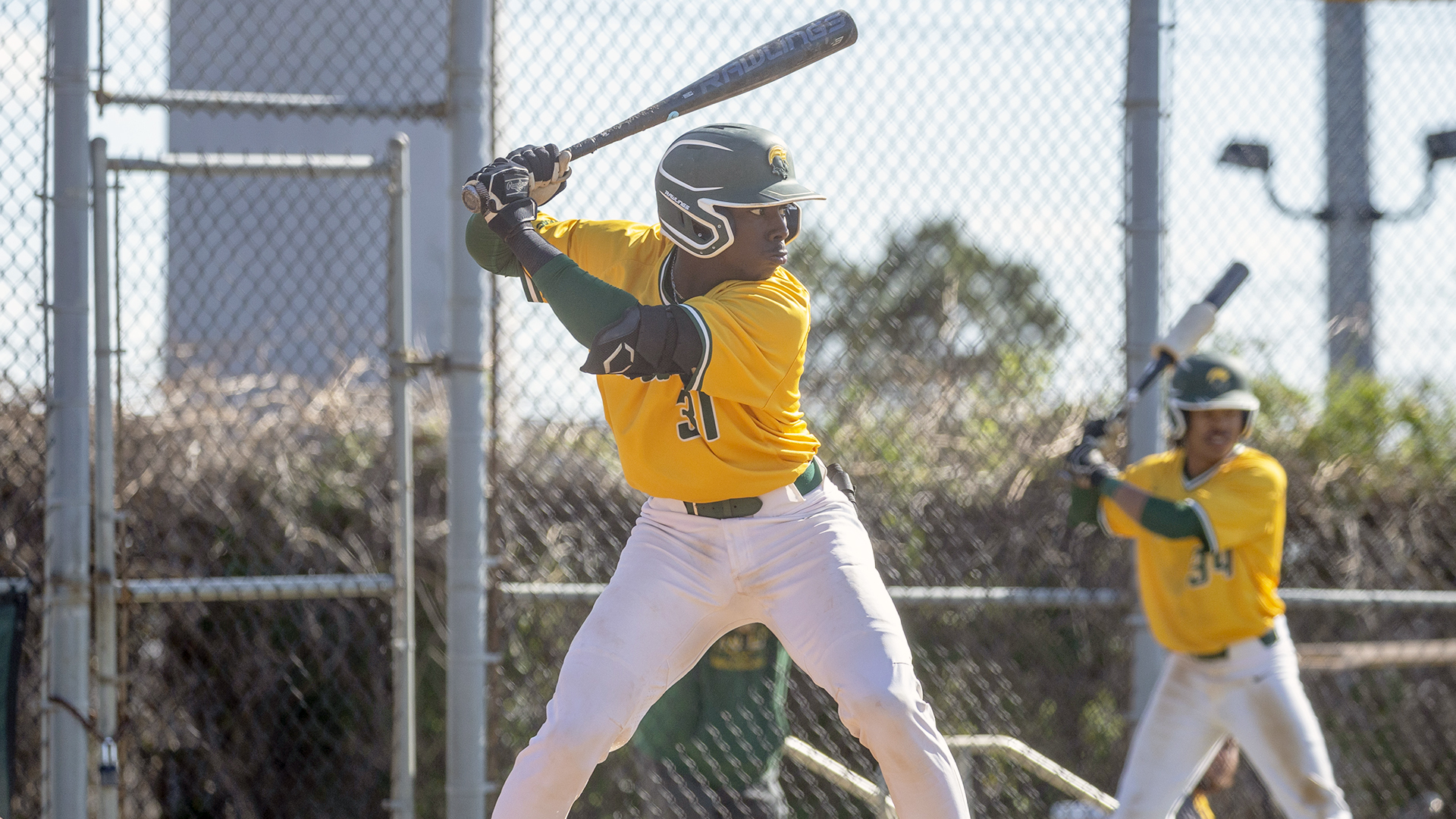 Dominic Joseph - Baseball - Norfolk State University Athletics