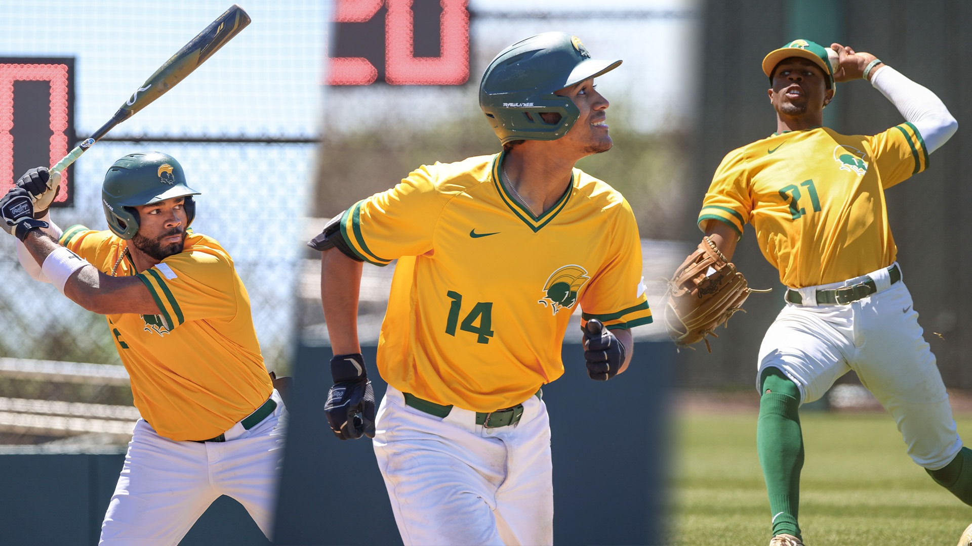 Journette Named HBCU National Baseball Player of the Year - Norfolk ...