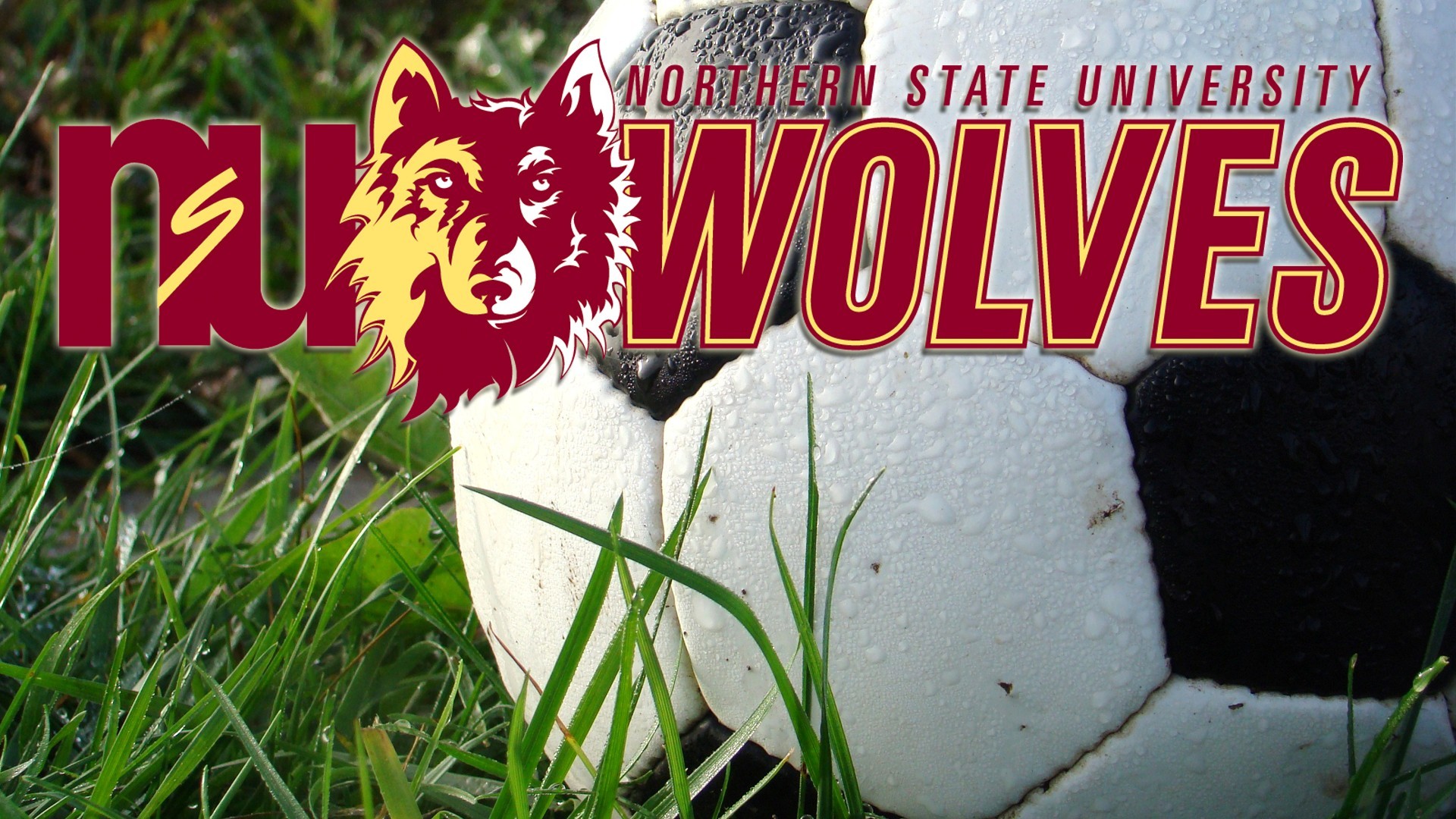 Wolves Soccer Picked Tenth in NSIC Preseason Coaches' Poll - Northern ...