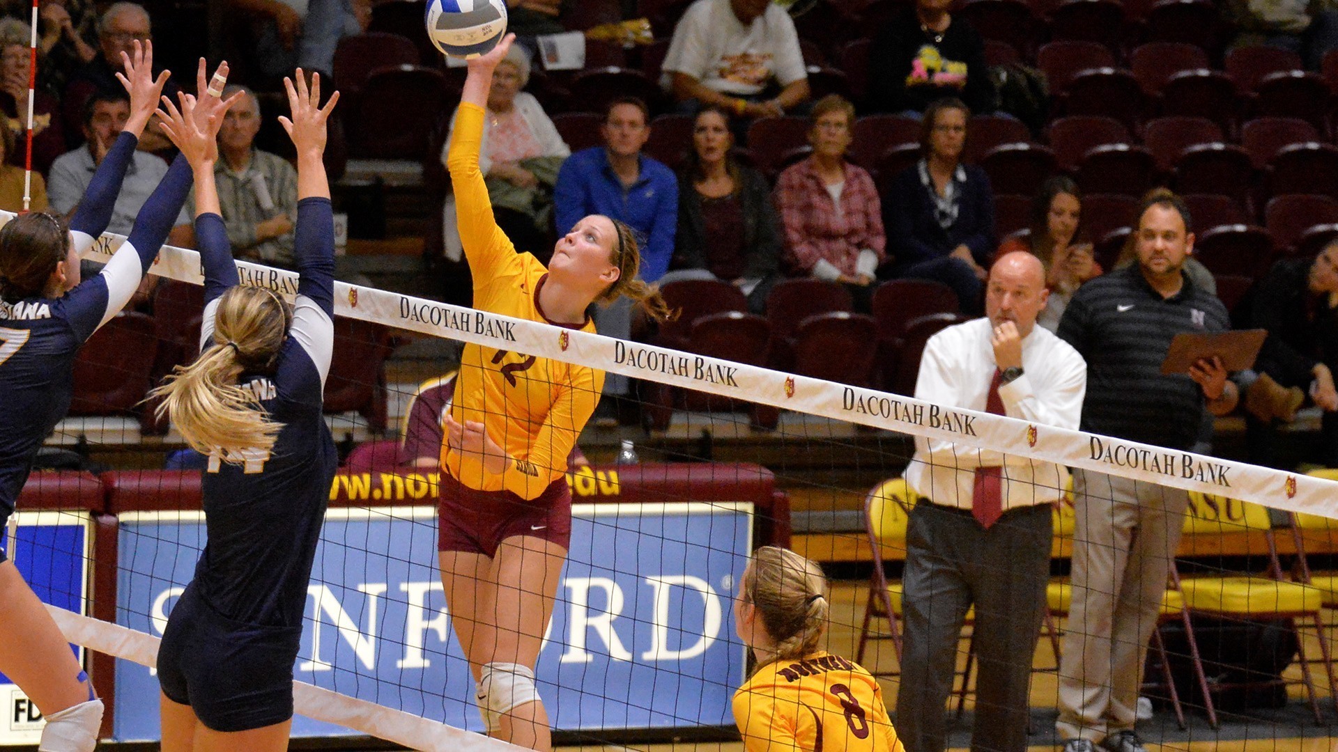 Jenna Reiff - 2019 - Volleyball - Northern State University Athletics