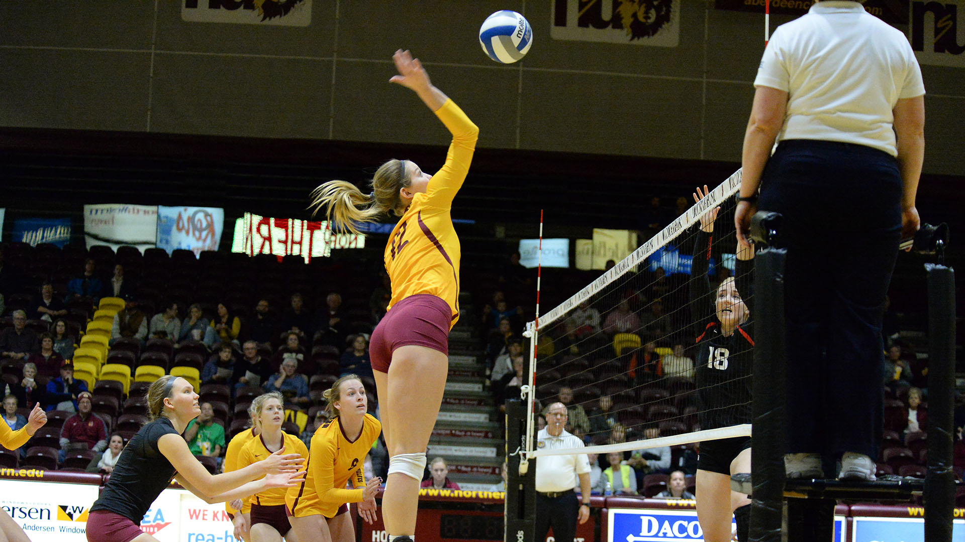 Jenna Reiff - 2019 - Volleyball - Northern State University Athletics