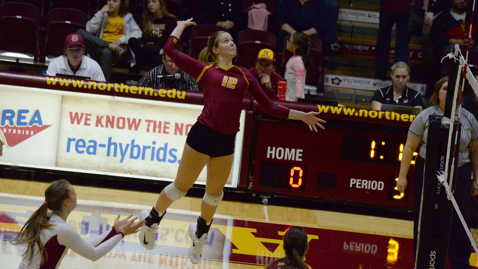 Jenna Reiff - 2019 - Volleyball - Northern State University Athletics