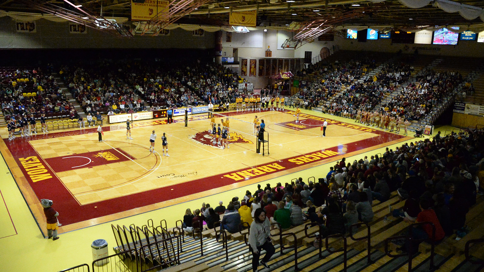 No. 3 Wolves outlast No. 1 Golden Bears in front of a packed house ...