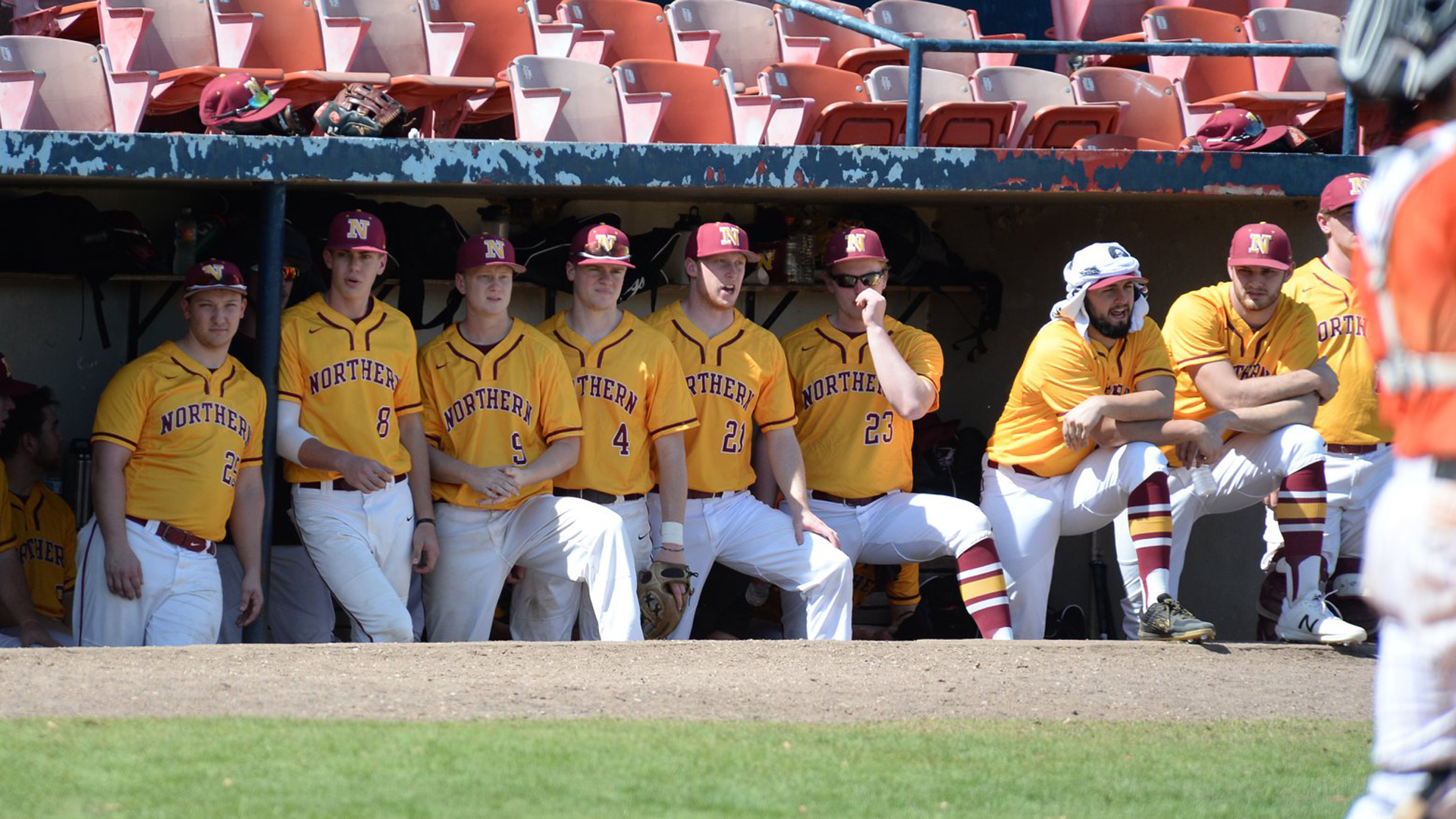 Wolves match-up with Vikings in conference midweek double header ...