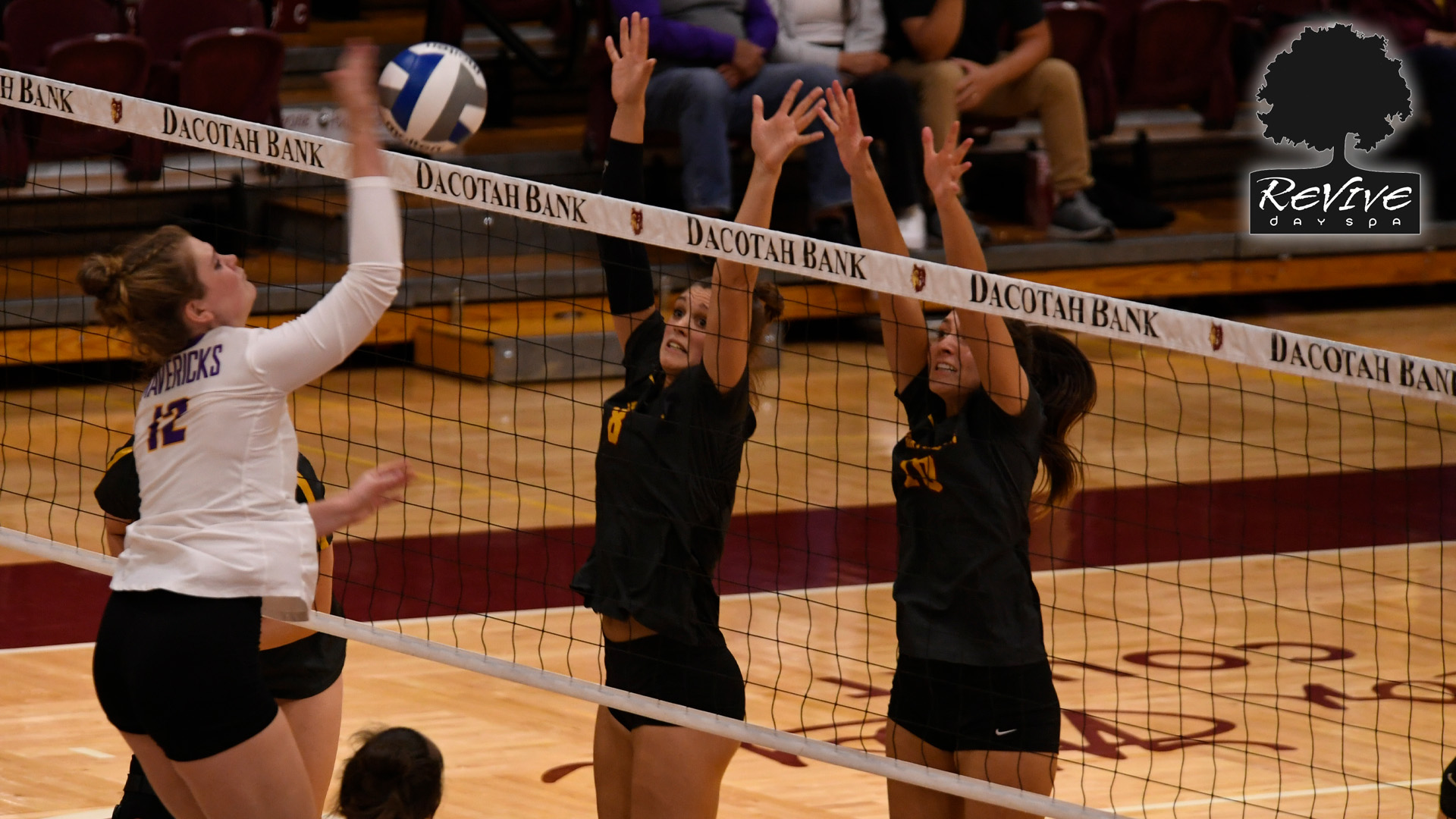 Hanna Thompson - 2024 - Volleyball - Northern State University Athletics