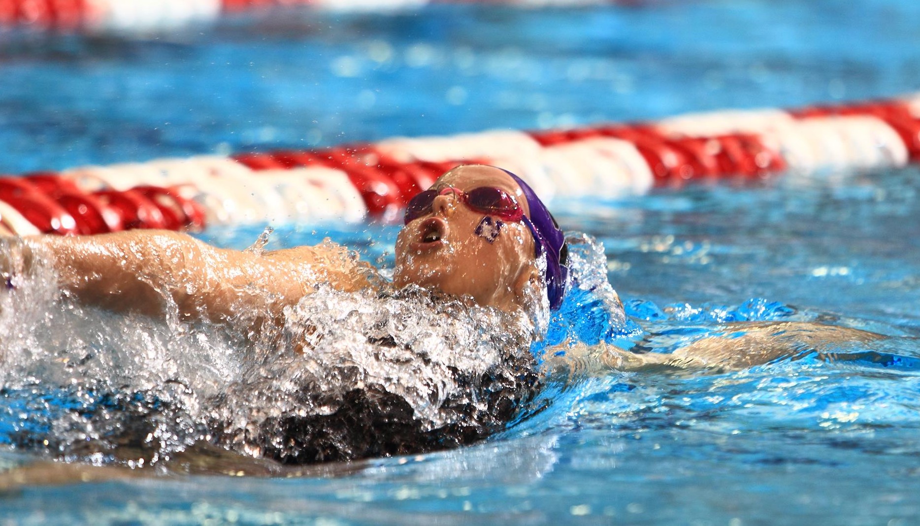 Lacey Locke - 2016-17 - Women's Swimming and Diving - Northwestern ...